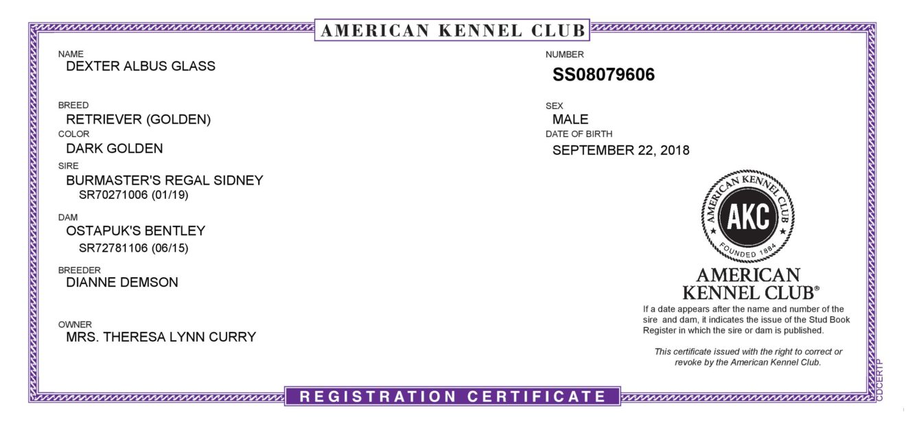 AKC REgistration Certificate – Dexter REGCERT_SS08079606-page-001 ...