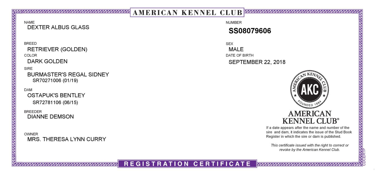 AKC REgistration Certificate – Dexter REGCERT_SS08079606-page-001 ...
